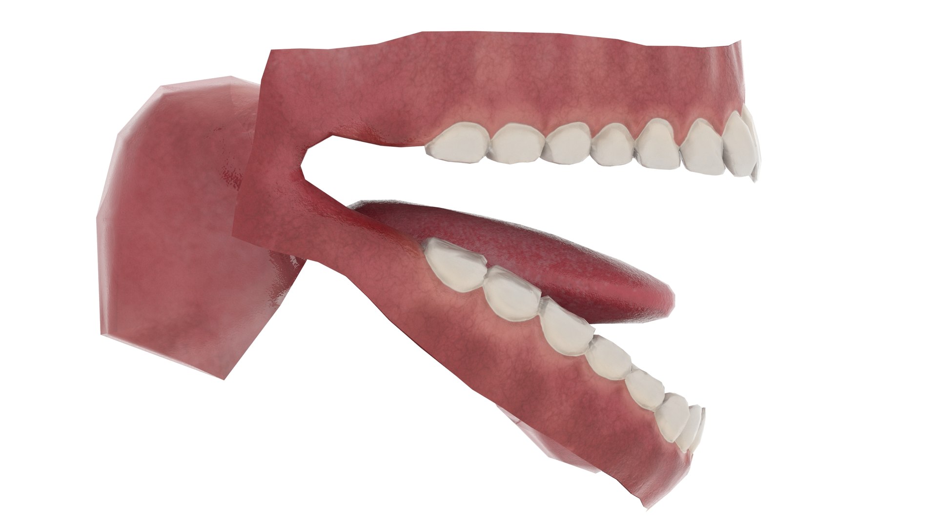 3D Realistic Low Poly Mouth Low-poly 3D Model - TurboSquid 1768440