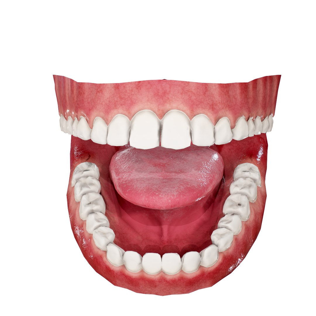 3D Realistic Low Poly Mouth Low-poly 3D Model - TurboSquid 1768440