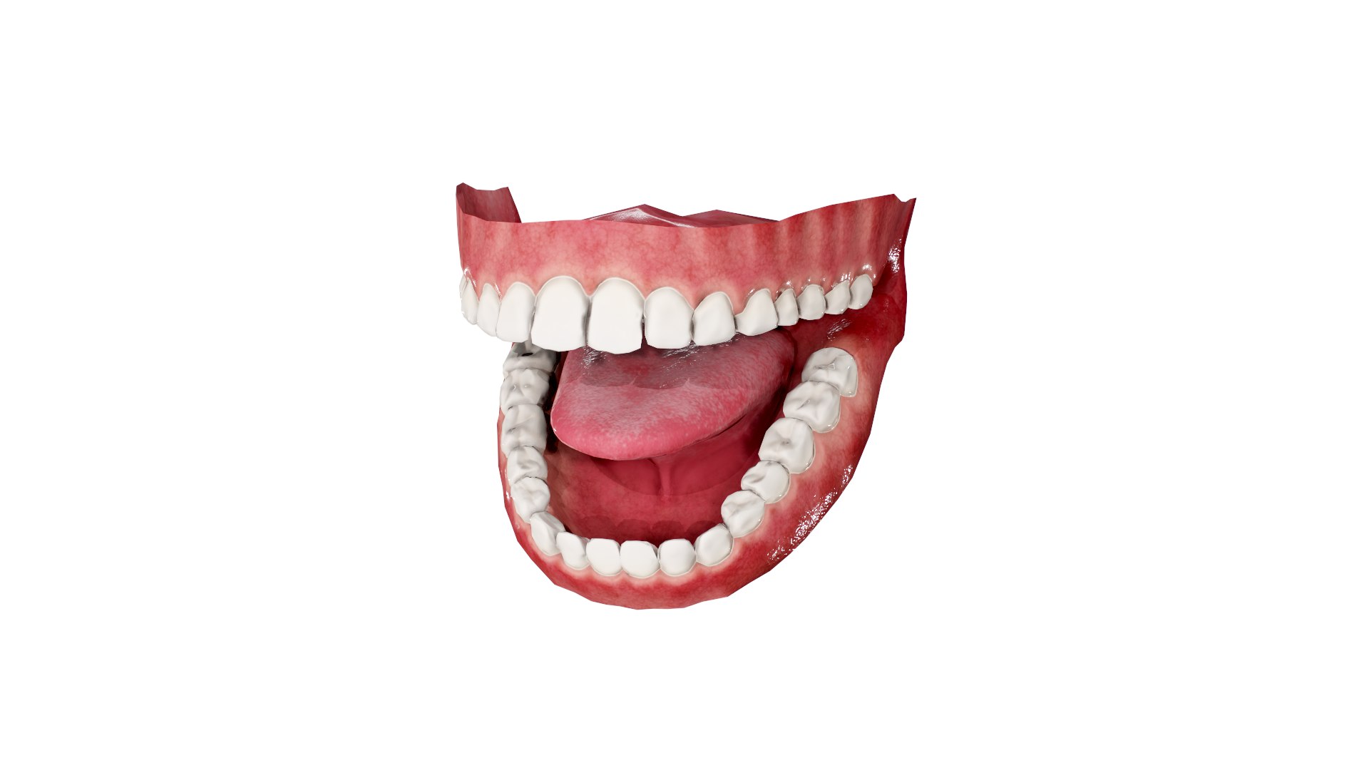 3D Realistic Low Poly Mouth Low-poly 3D Model - TurboSquid 1768440