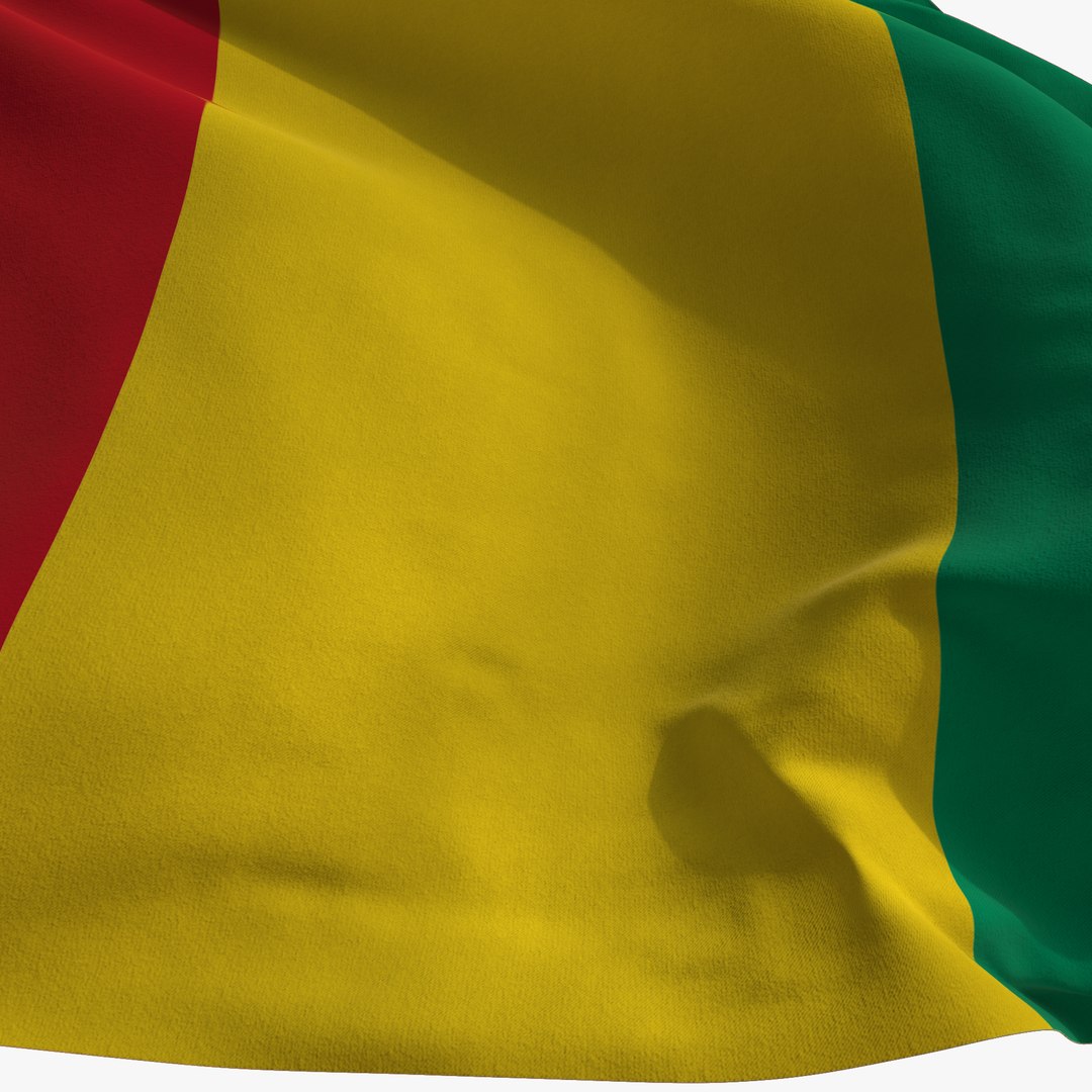 3D Realistic Animated Flag - Microtexture Rigged - Put your own texture ...