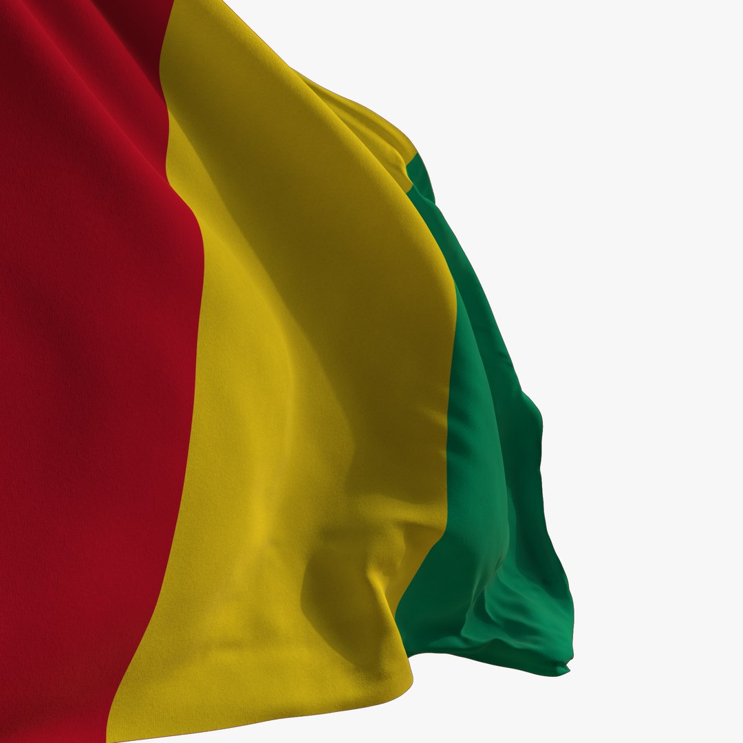 3D Realistic Animated Flag - Microtexture Rigged - Put your own texture ...