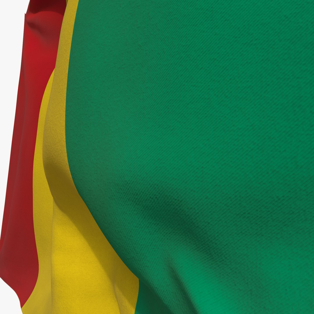 3D Realistic Animated Flag - Microtexture Rigged - Put your own texture ...