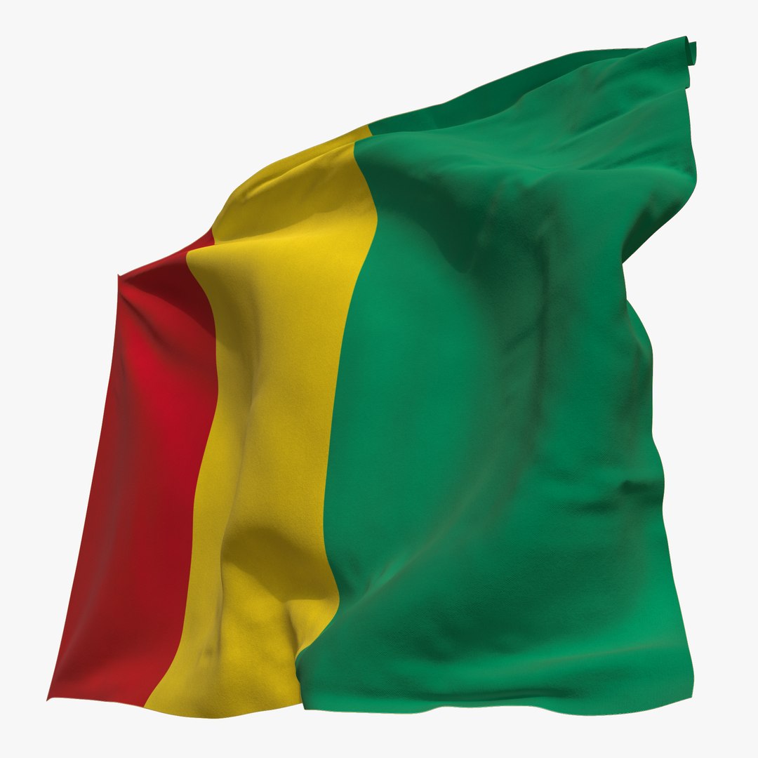 3D Realistic Animated Flag - Microtexture Rigged - Put your own texture ...