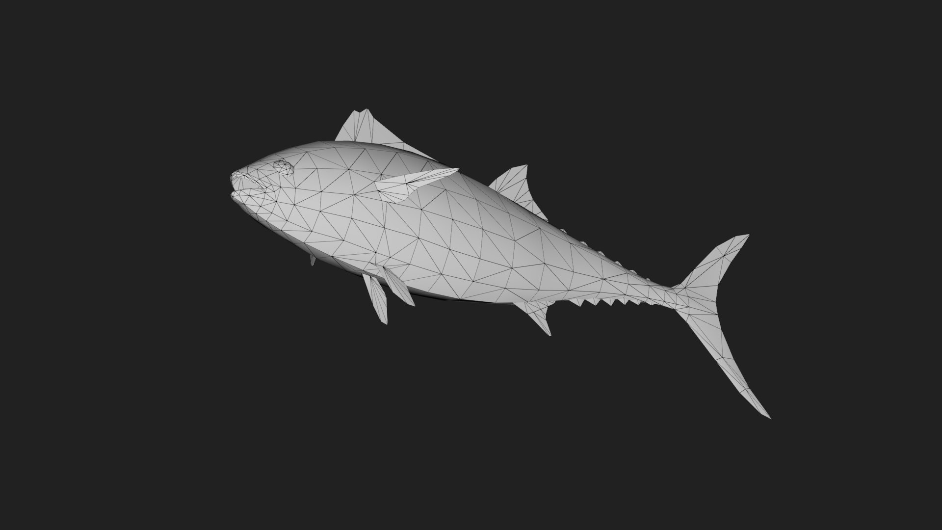 Tuna 3D Model - TurboSquid 2119683