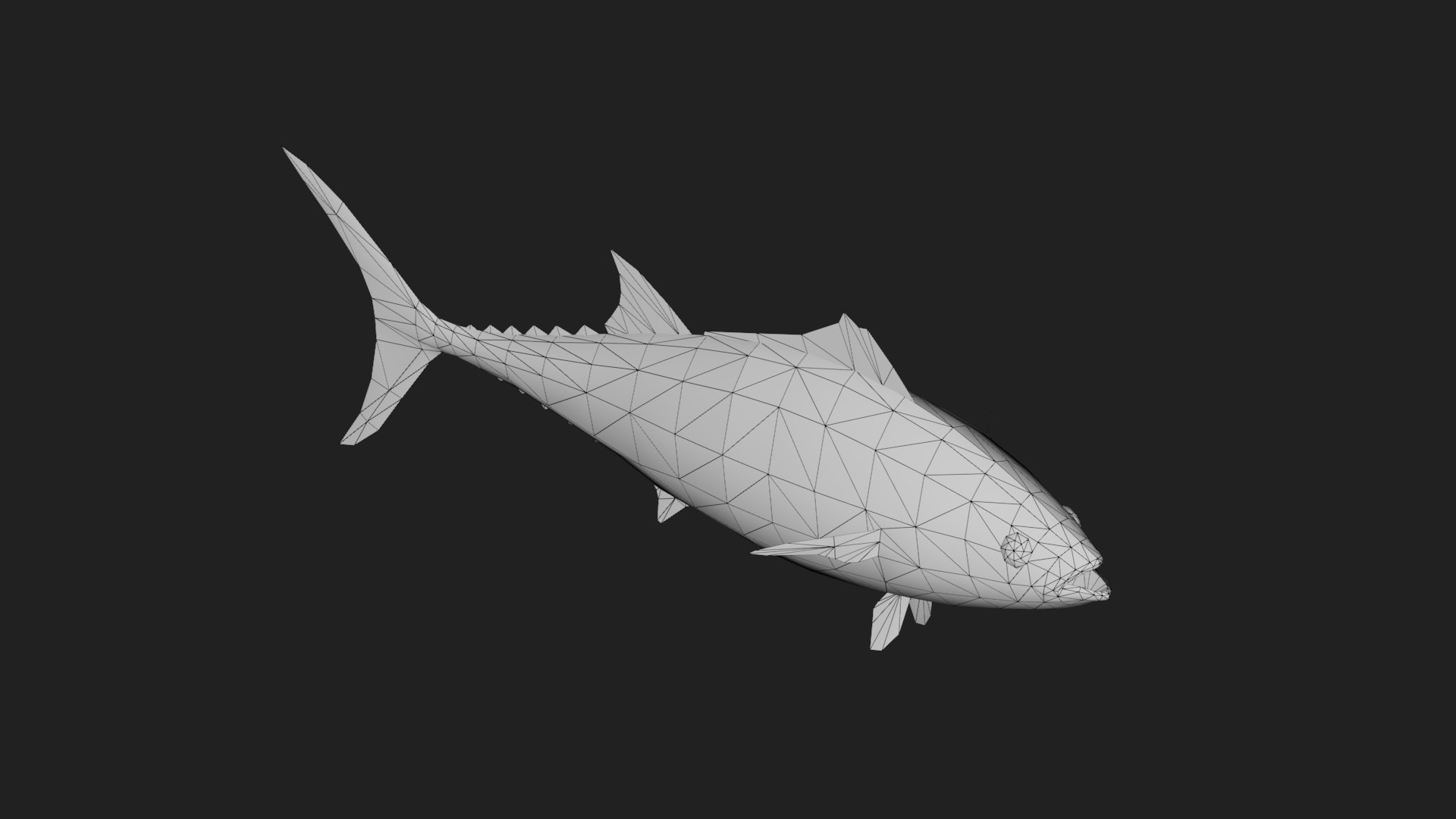 Tuna 3D Model - TurboSquid 2119683