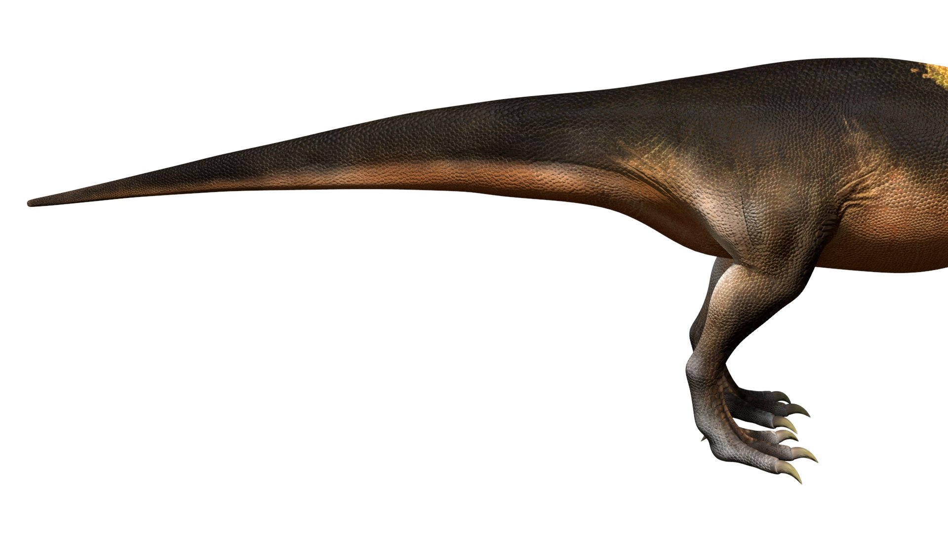 Glacialisaurus Dinosaur Jurassic Animal 3D Model - TurboSquid 2339041