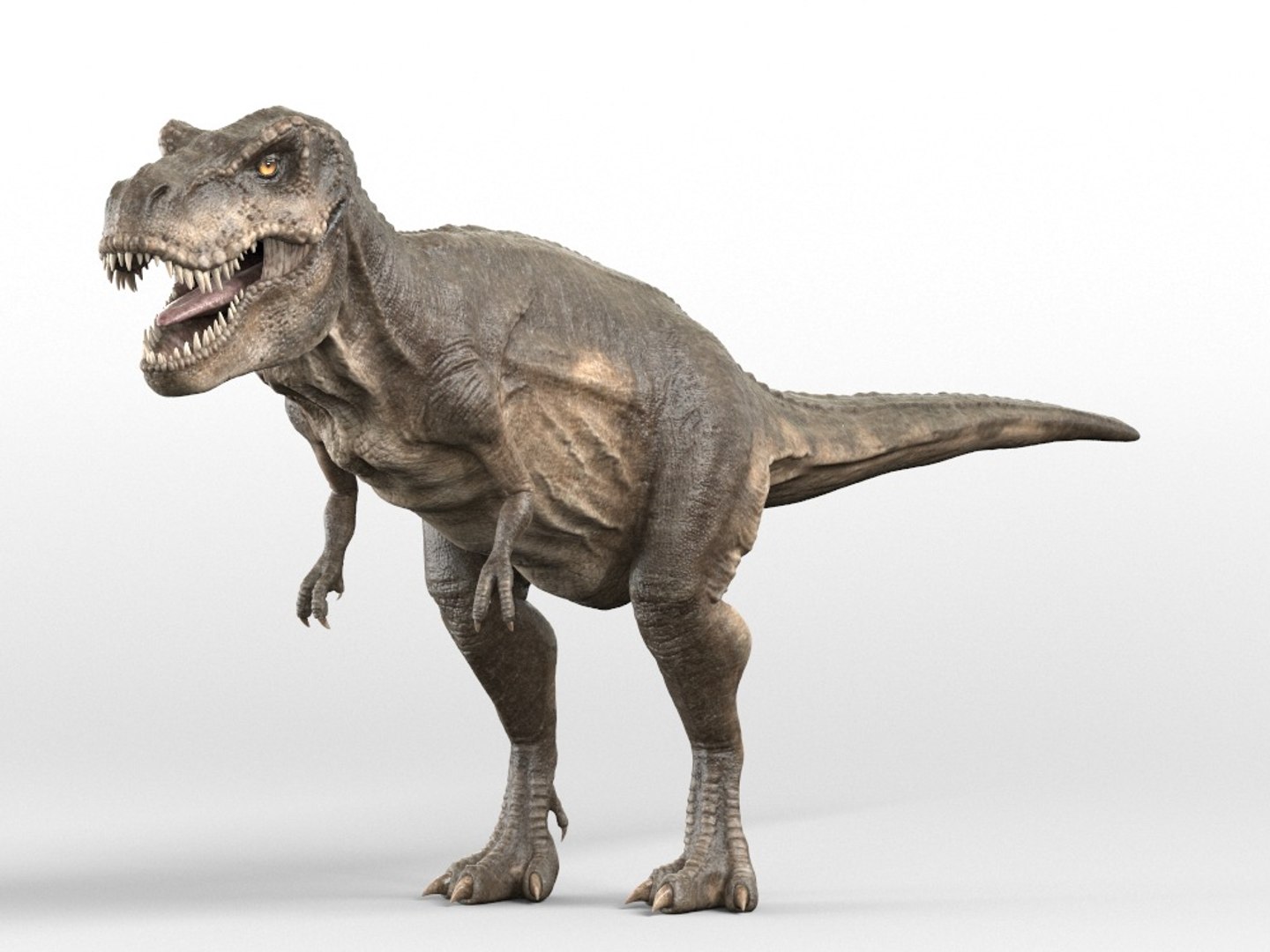 - Rigged Animation 3d Max