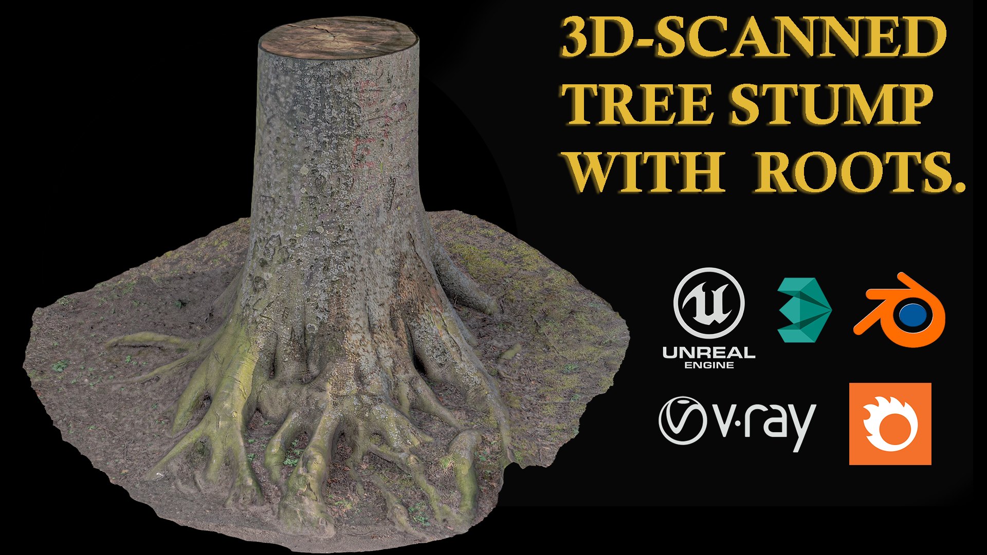 Tree Stump 3D Model - TurboSquid 2391558