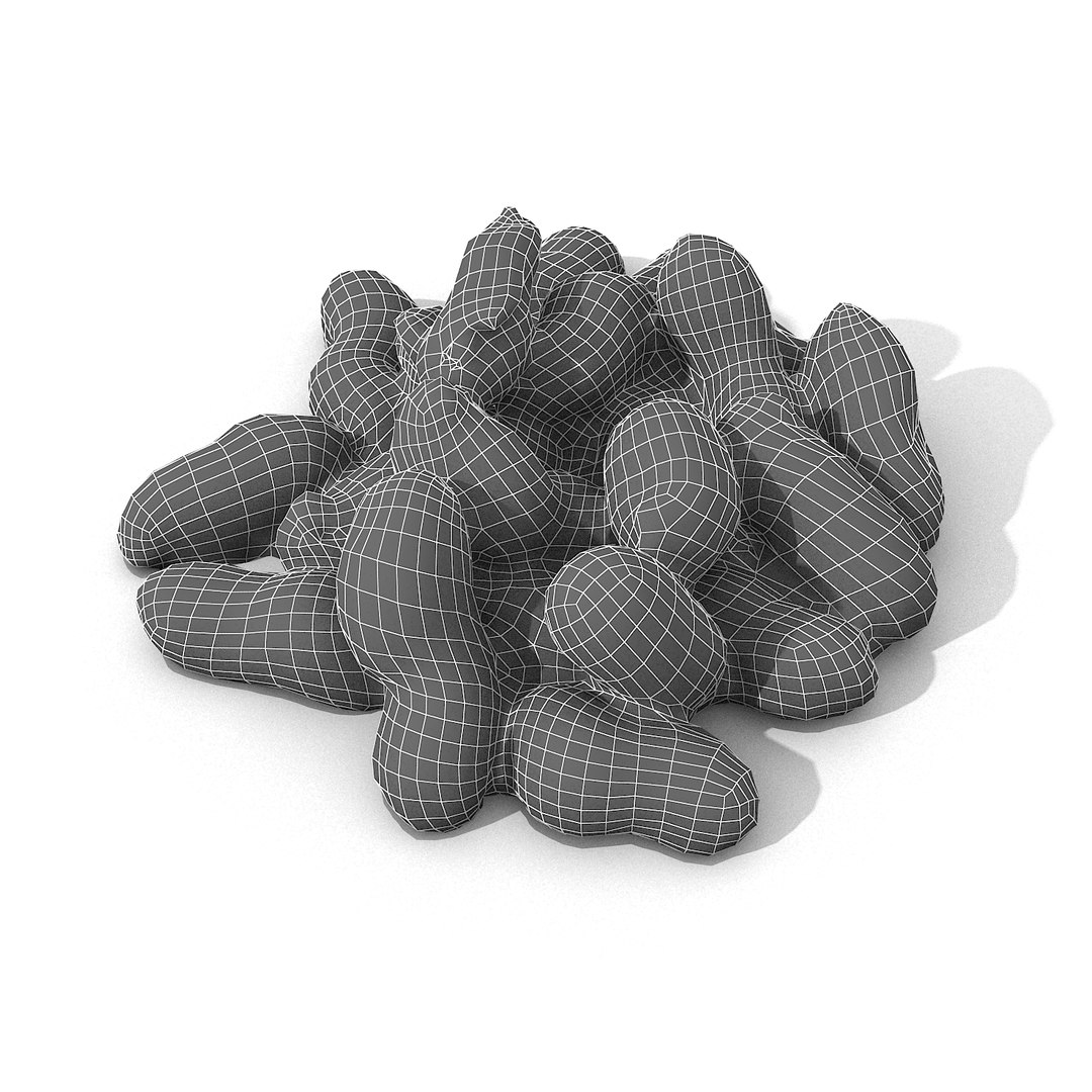 3D Realistic Nut Model - TurboSquid 1190217