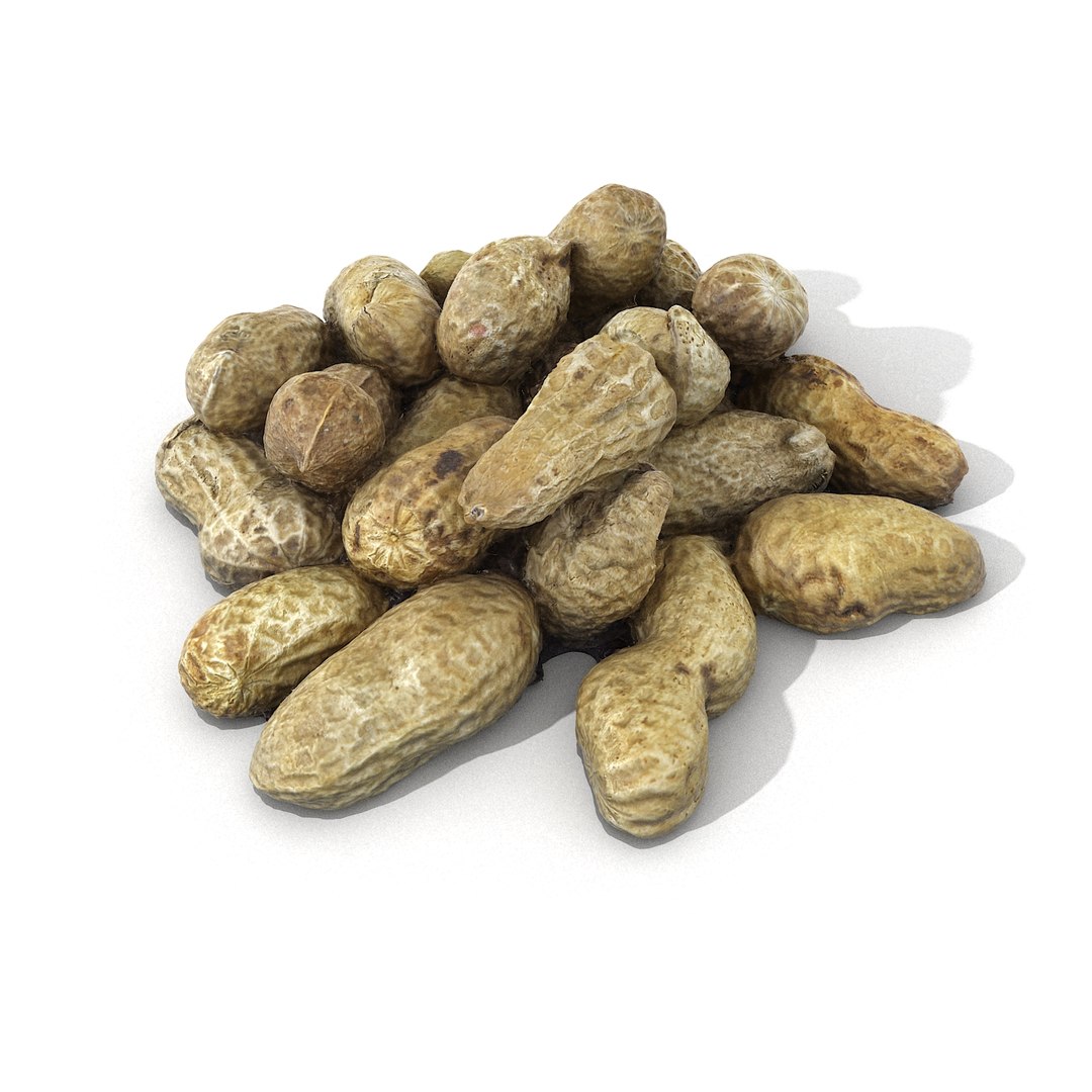 3D Realistic Nut Model - TurboSquid 1190217