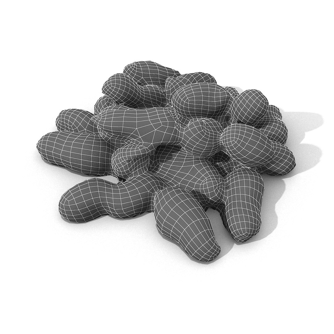 3D Realistic Nut Model - TurboSquid 1190217