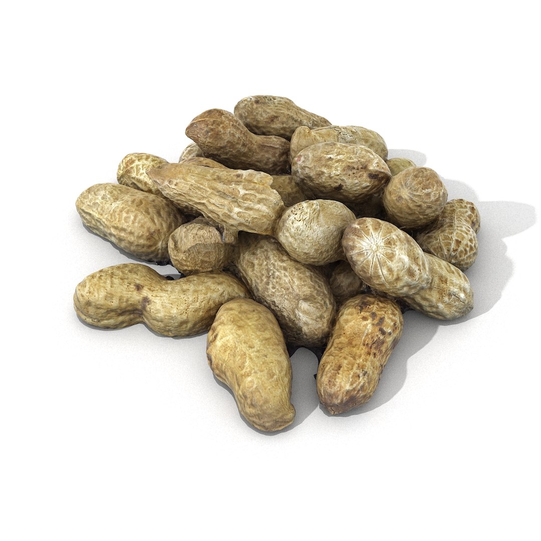 3D Realistic Nut Model - TurboSquid 1190217