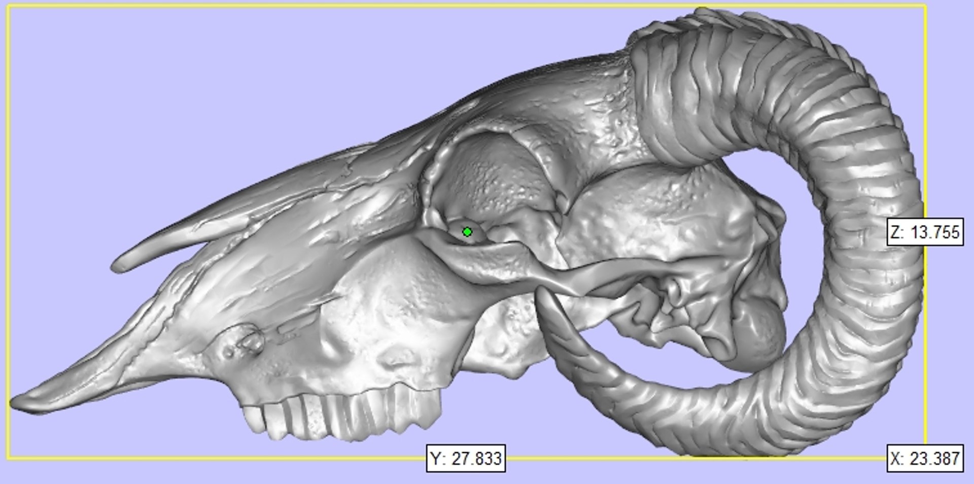 Goat Skull Element Jewelry 3D - TurboSquid 1377835