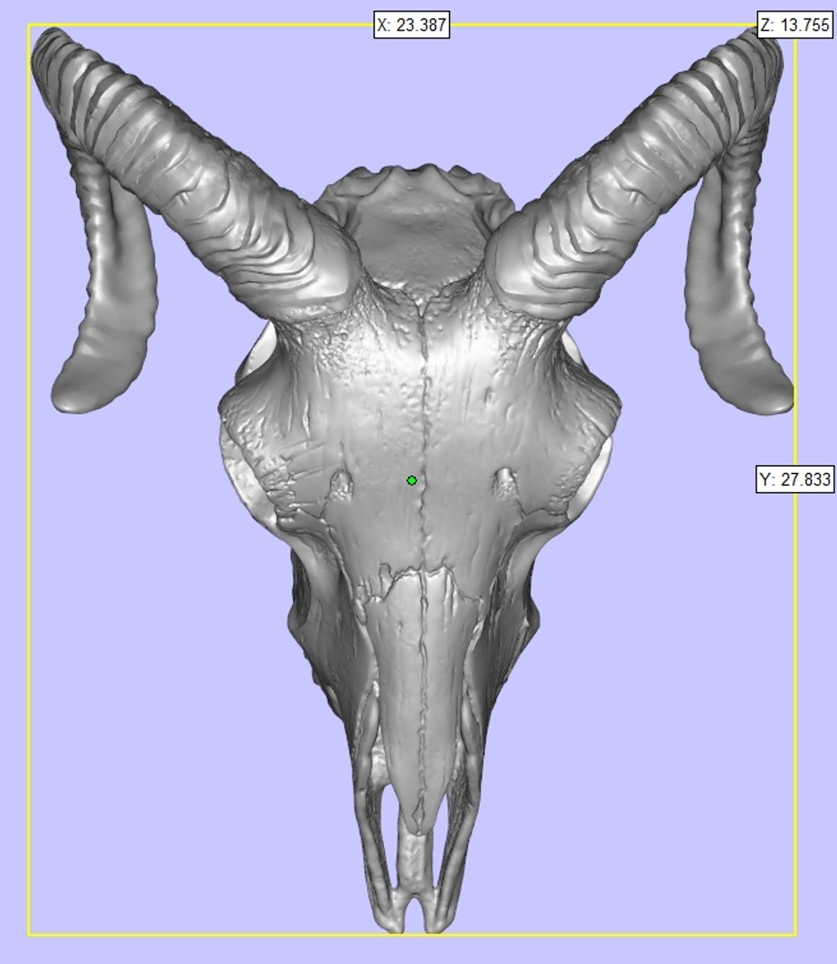 Goat Skull Element Jewelry 3D - TurboSquid 1377835