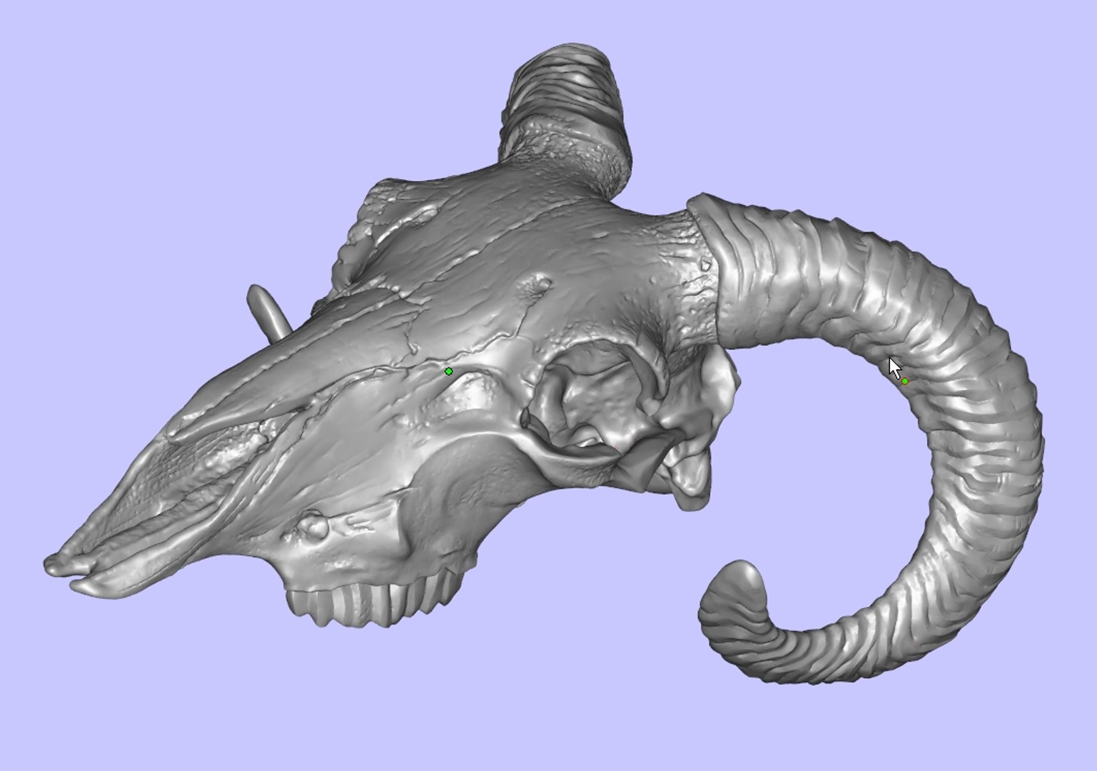 Goat Skull Element Jewelry 3D - TurboSquid 1377835