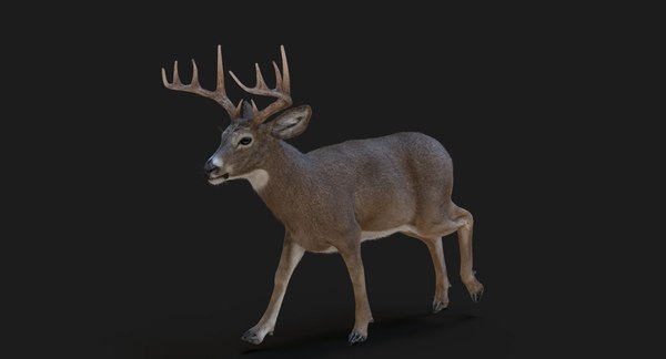 ma deer animations 2 fur
