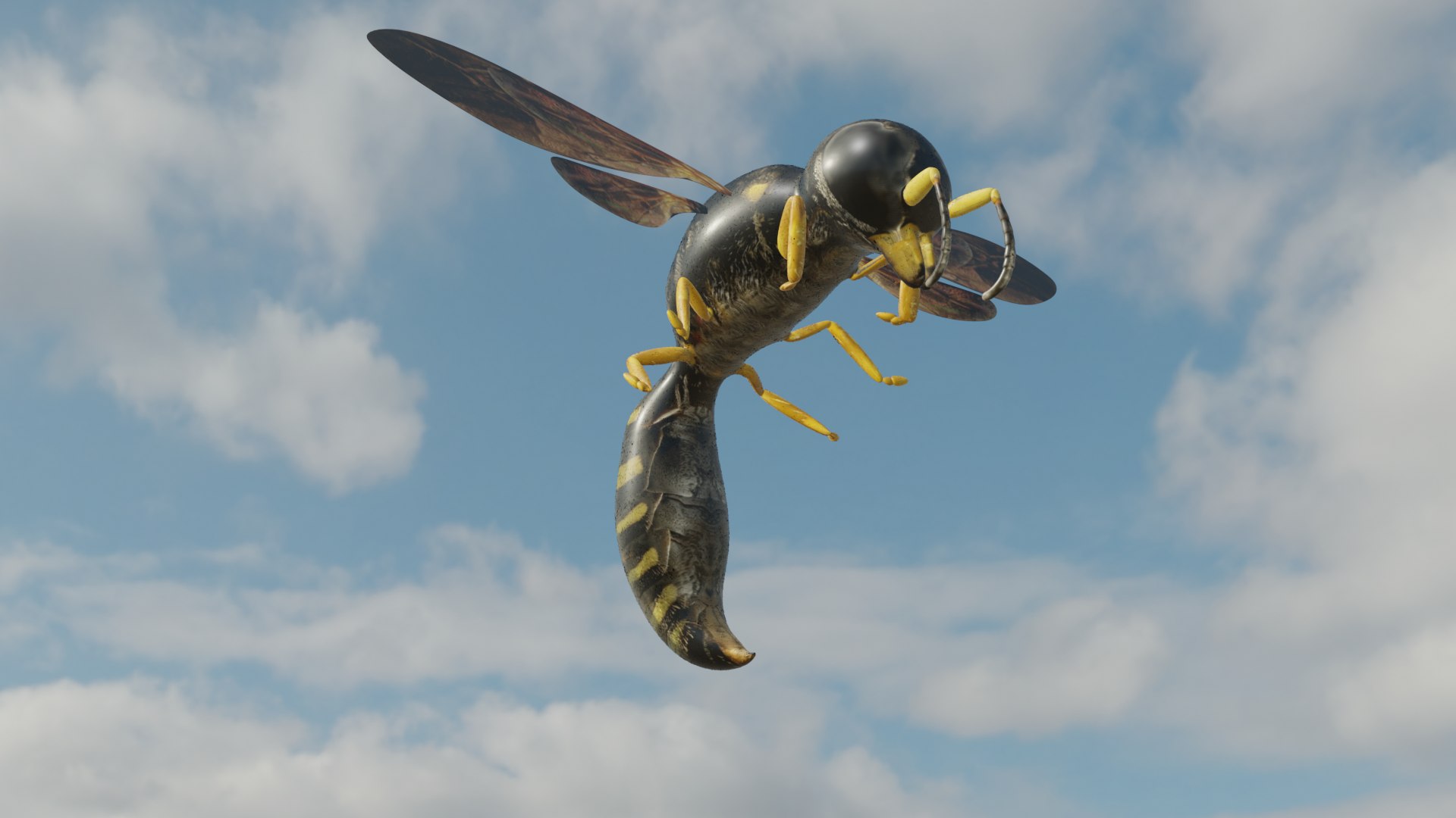 Wasp 3D Model - TurboSquid 1999385