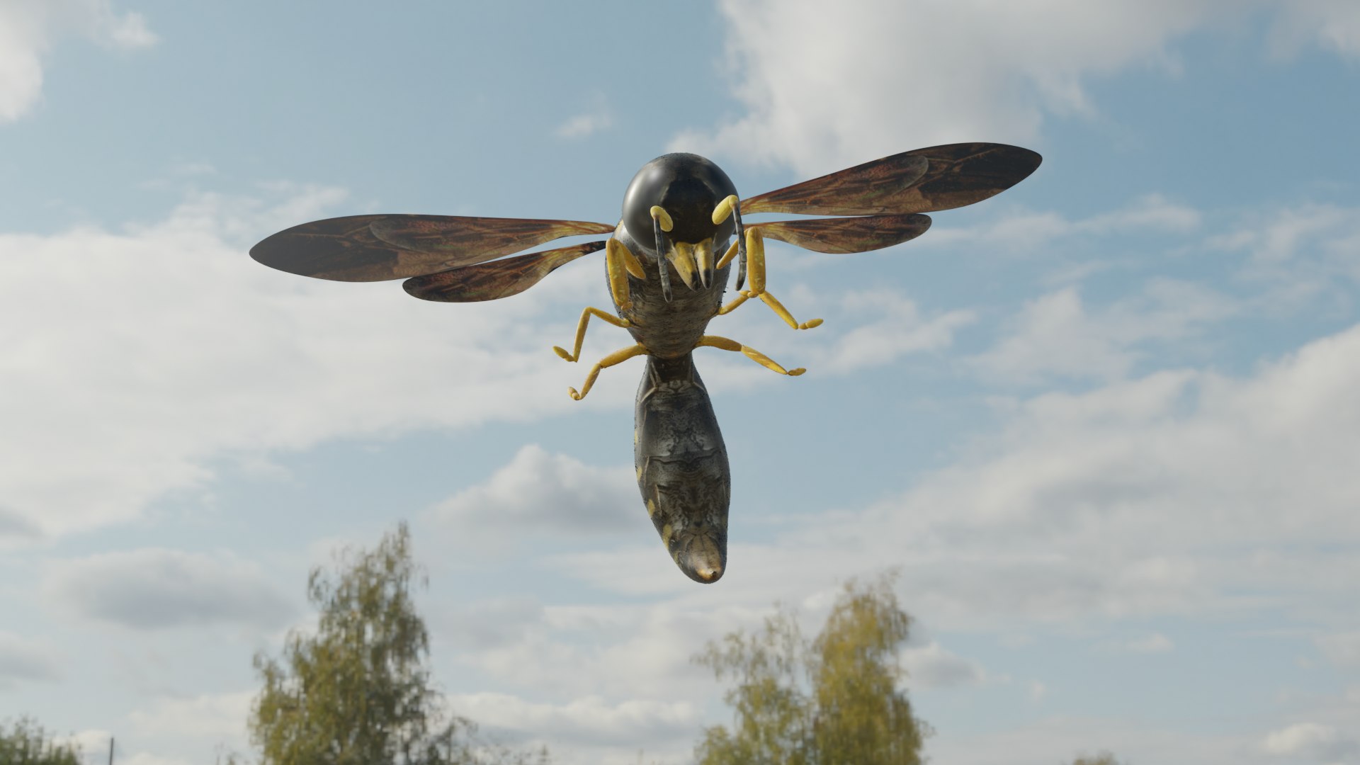 Wasp 3D Model - TurboSquid 1999385