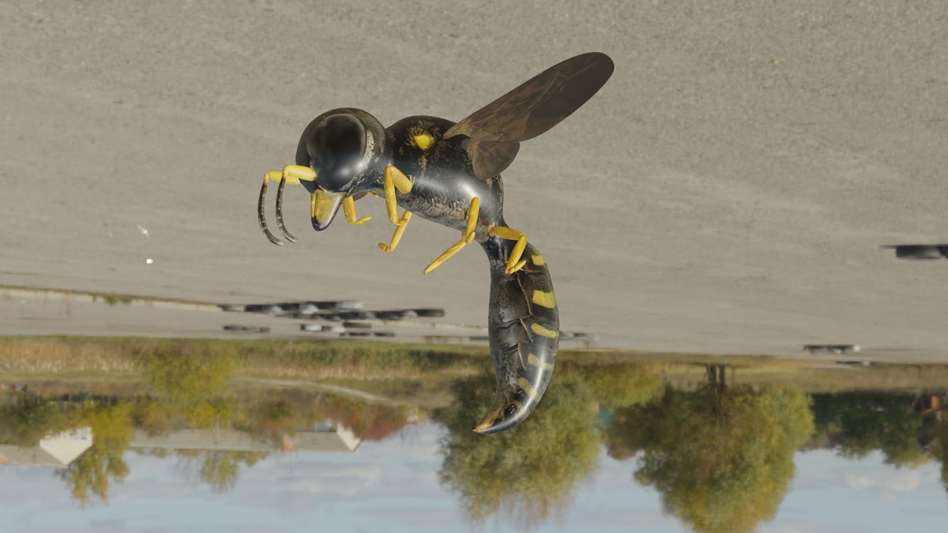 Wasp 3D Model - TurboSquid 1999385