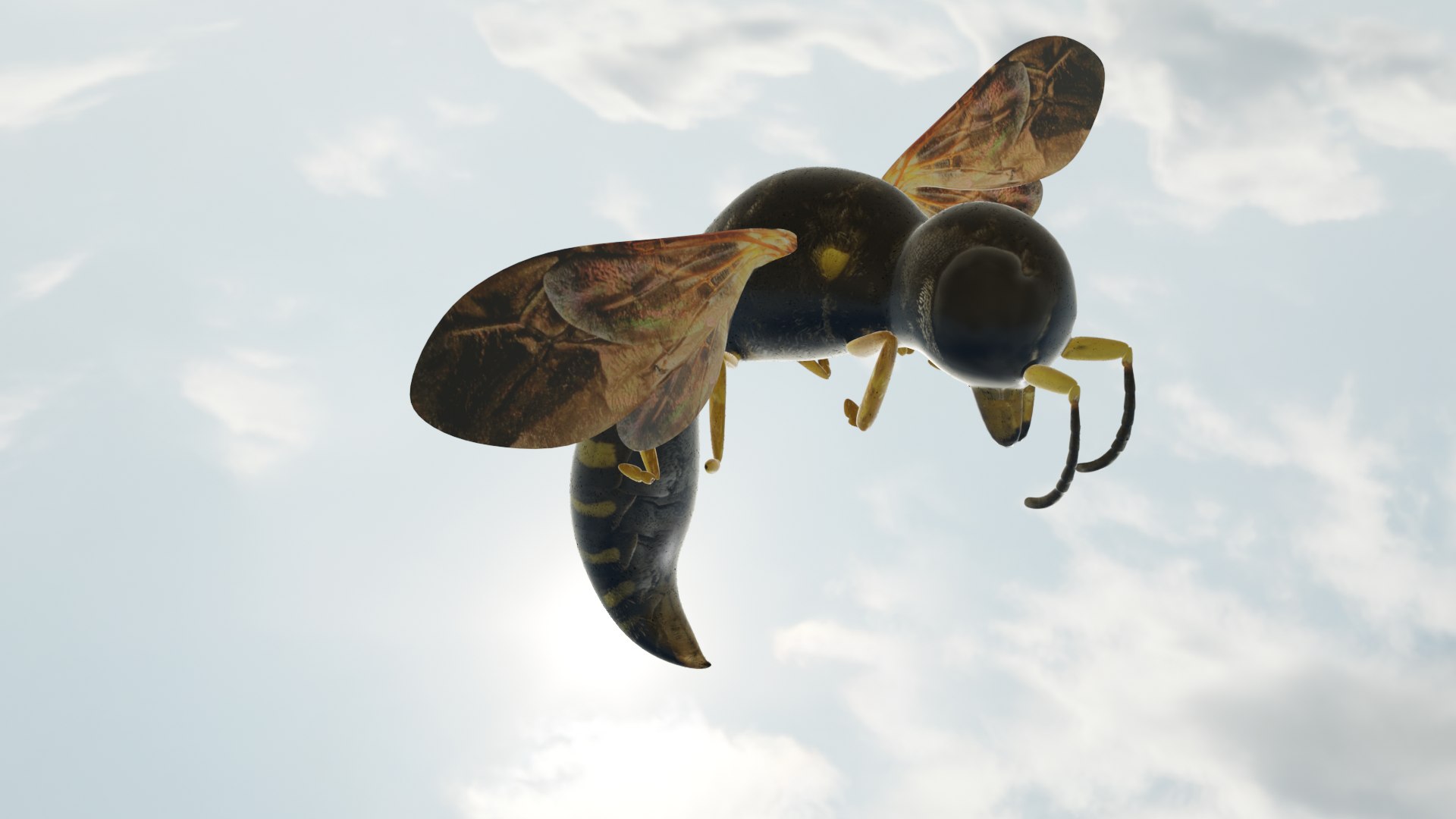 Wasp 3D Model - TurboSquid 1999385
