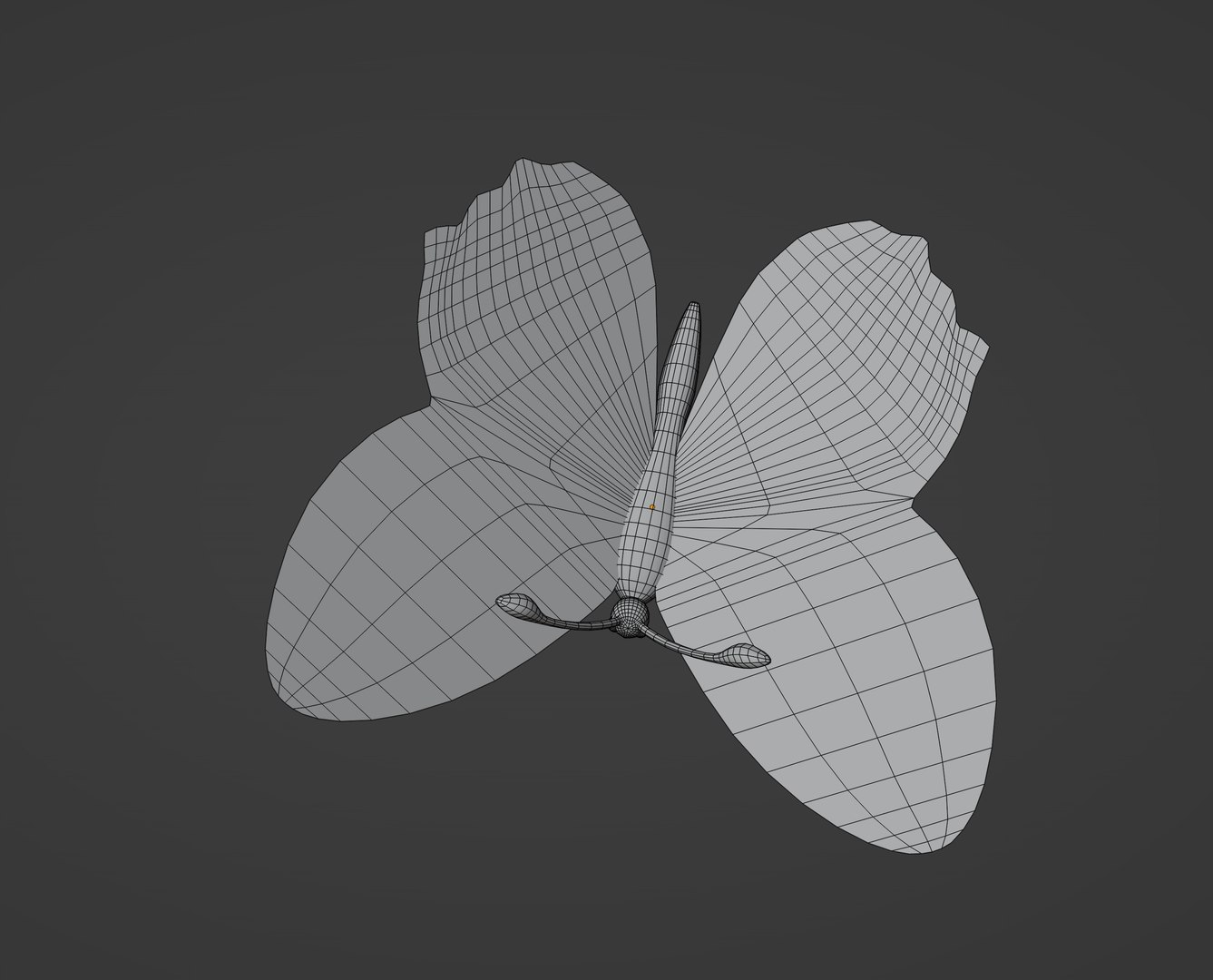 Butterflies 3D model - TurboSquid 1867811
