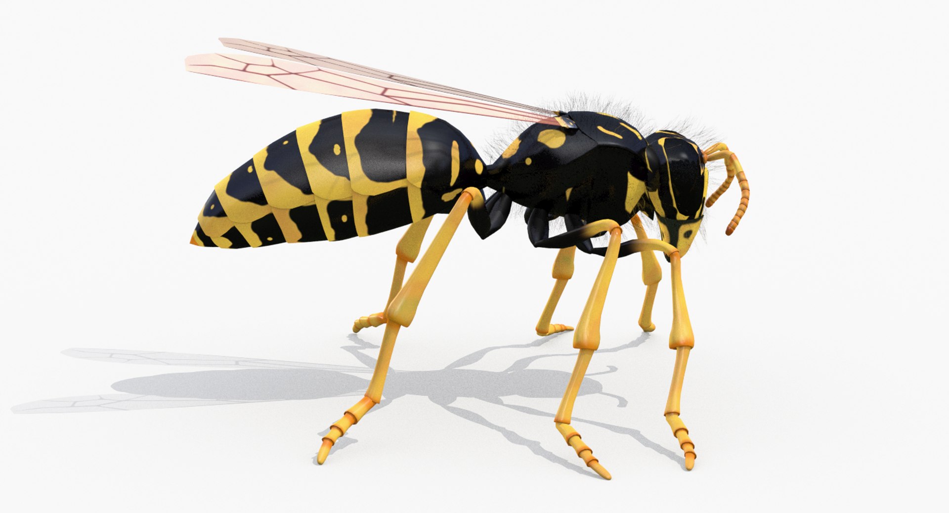 Realistic Wasp - Max