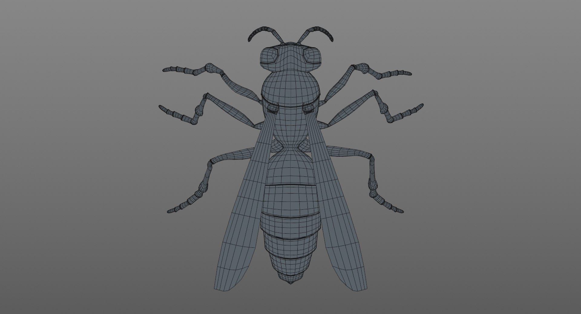 Realistic Wasp - Max