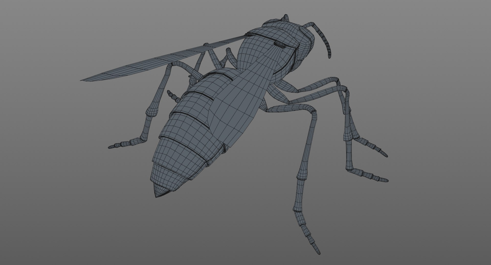 Realistic Wasp - Max