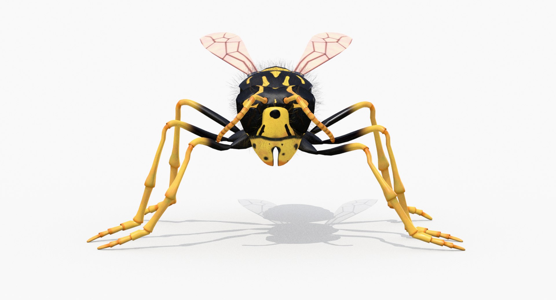 Realistic Wasp - Max