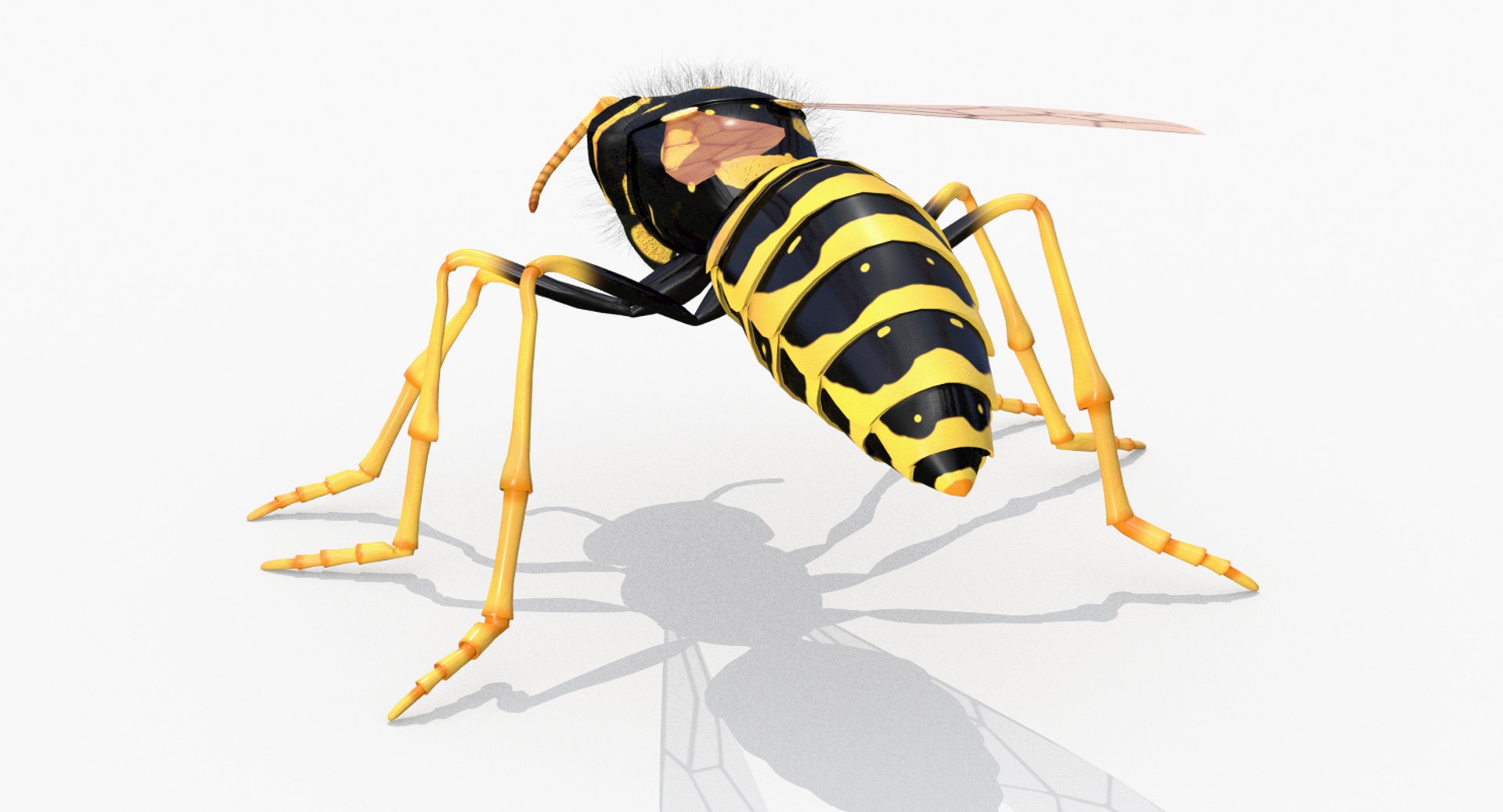 Realistic Wasp - Max