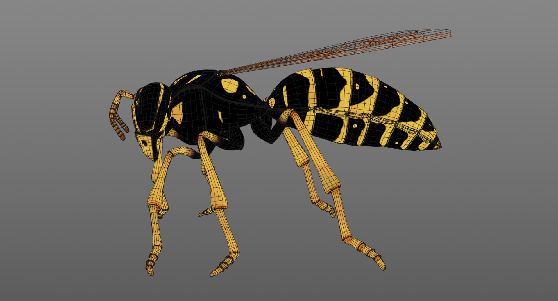 Realistic Wasp - Max