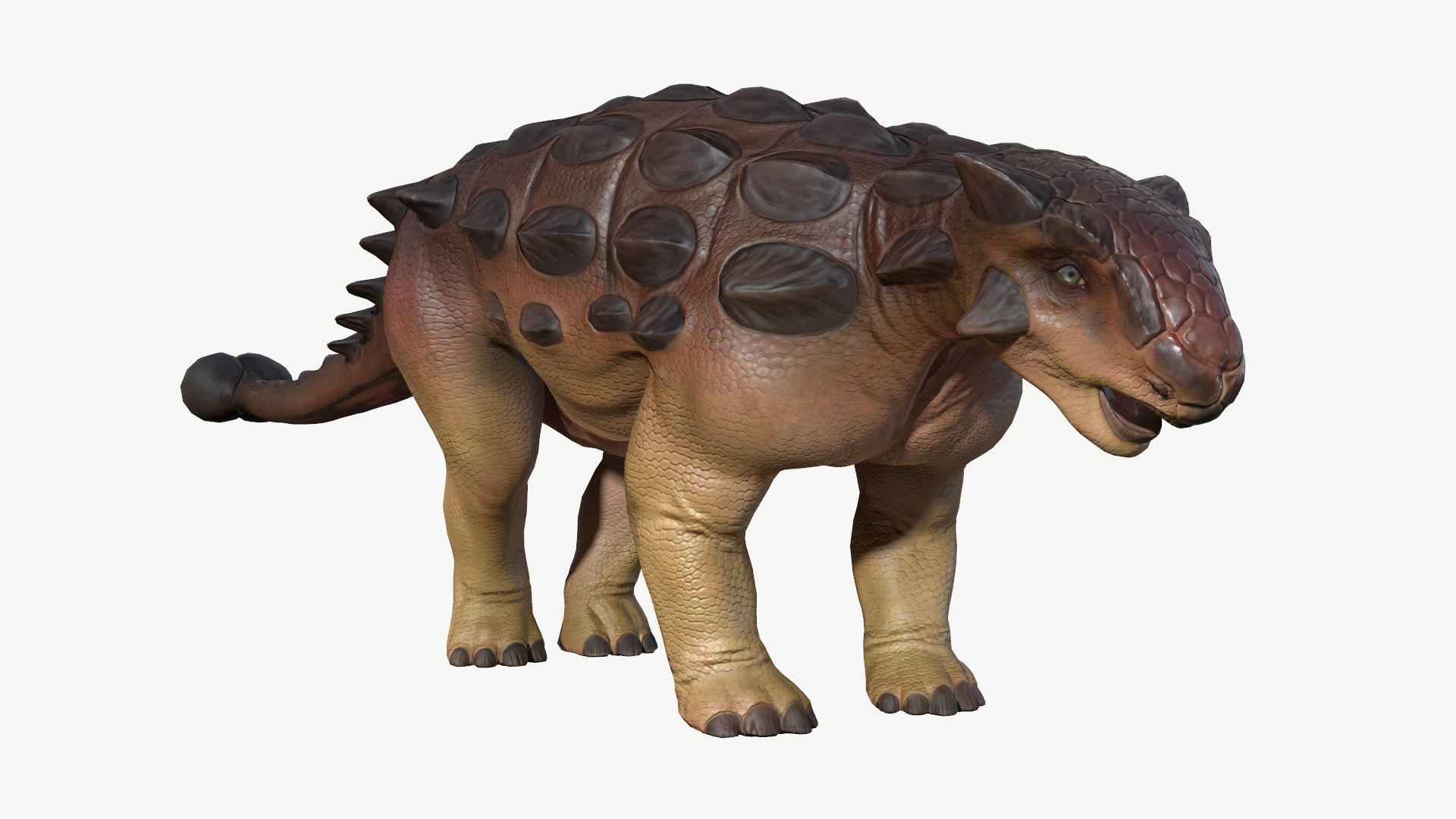 3D Model Ankylosaurus - TurboSquid 1746918