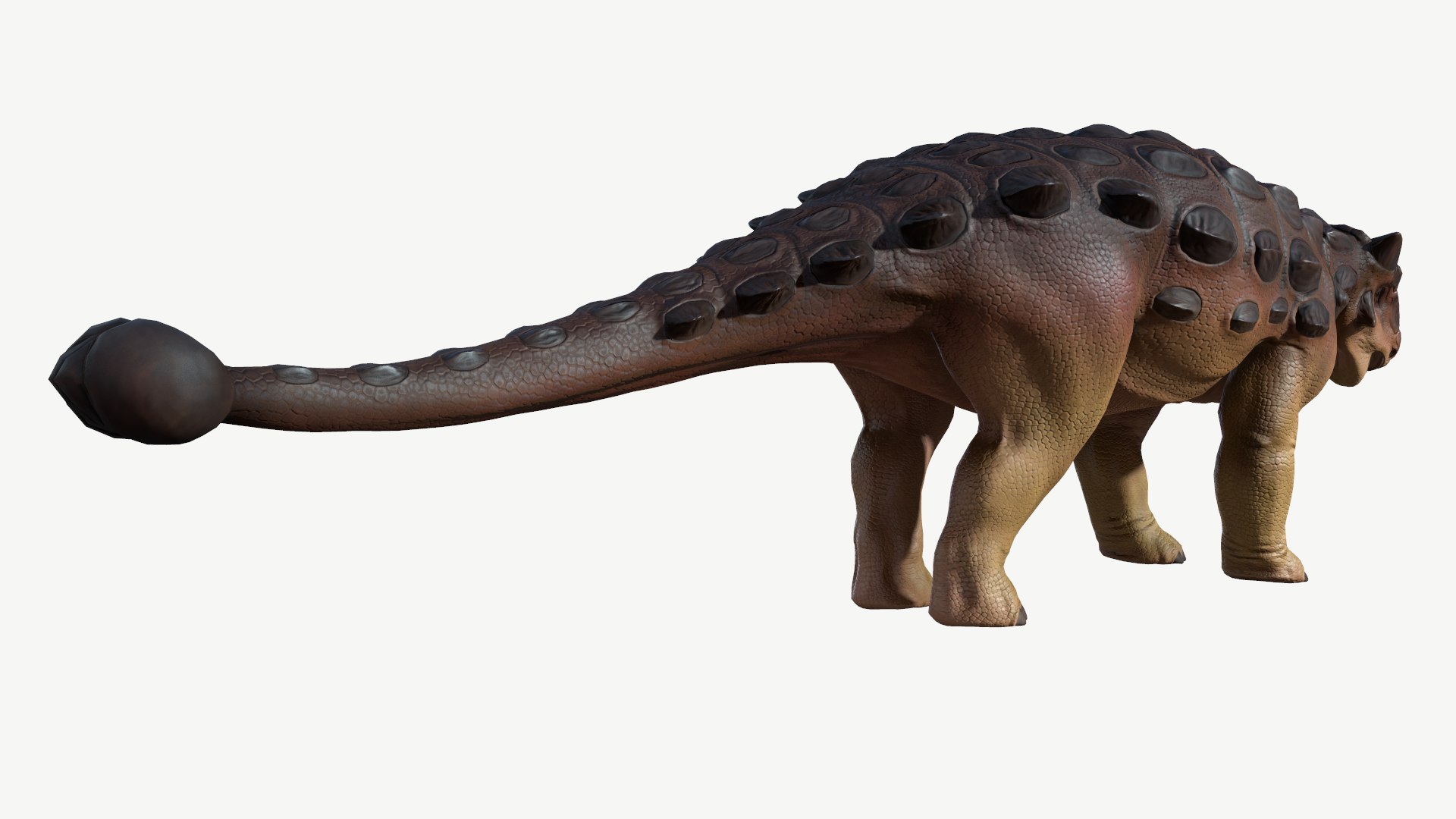 3D Model Ankylosaurus - TurboSquid 1746918