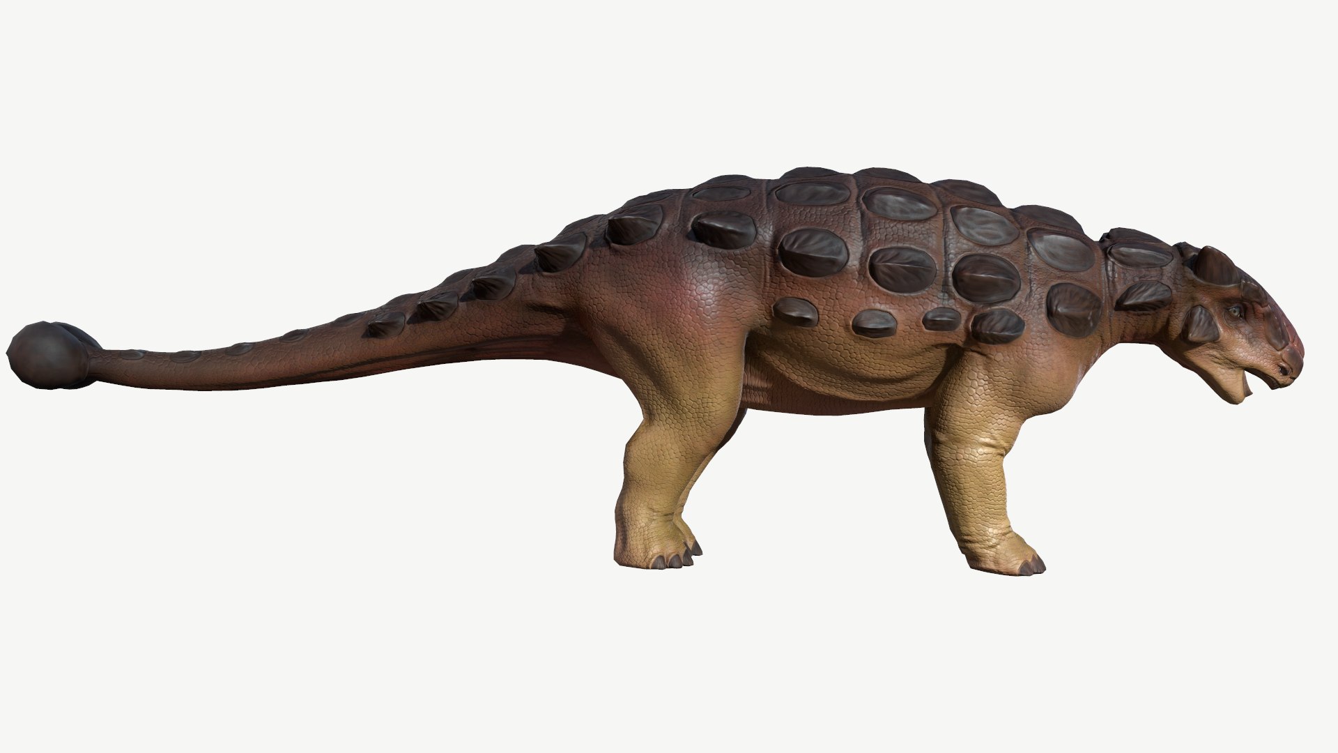 3D Model Ankylosaurus - TurboSquid 1746918