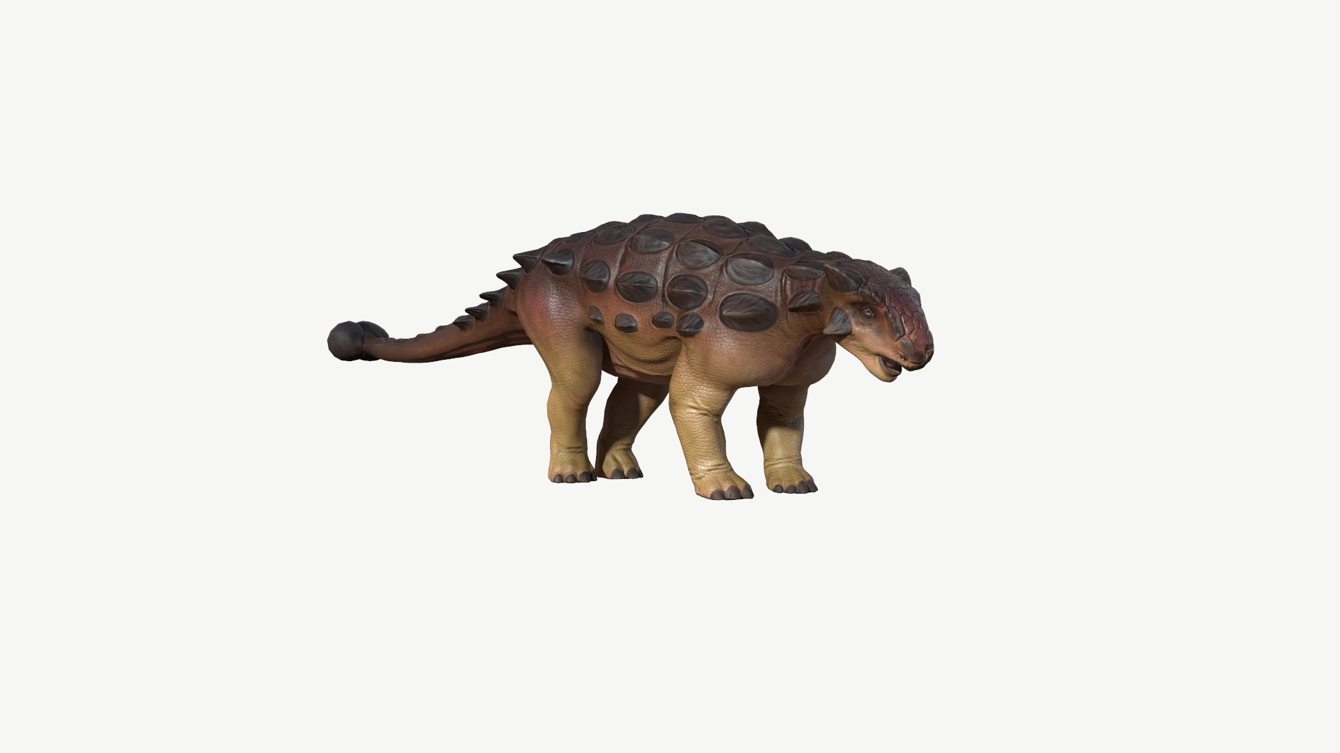 3D Model Ankylosaurus - TurboSquid 1746918