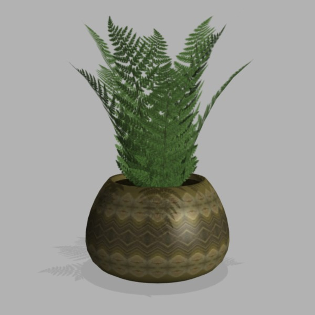 fern pl 3d model