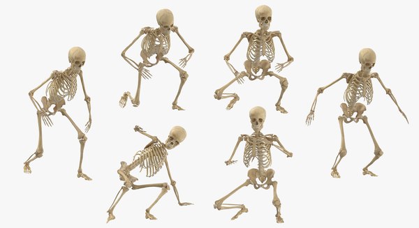 Human Female Skeleton Getting Up Poses Collection 01 - 6 models3Dモデル ...