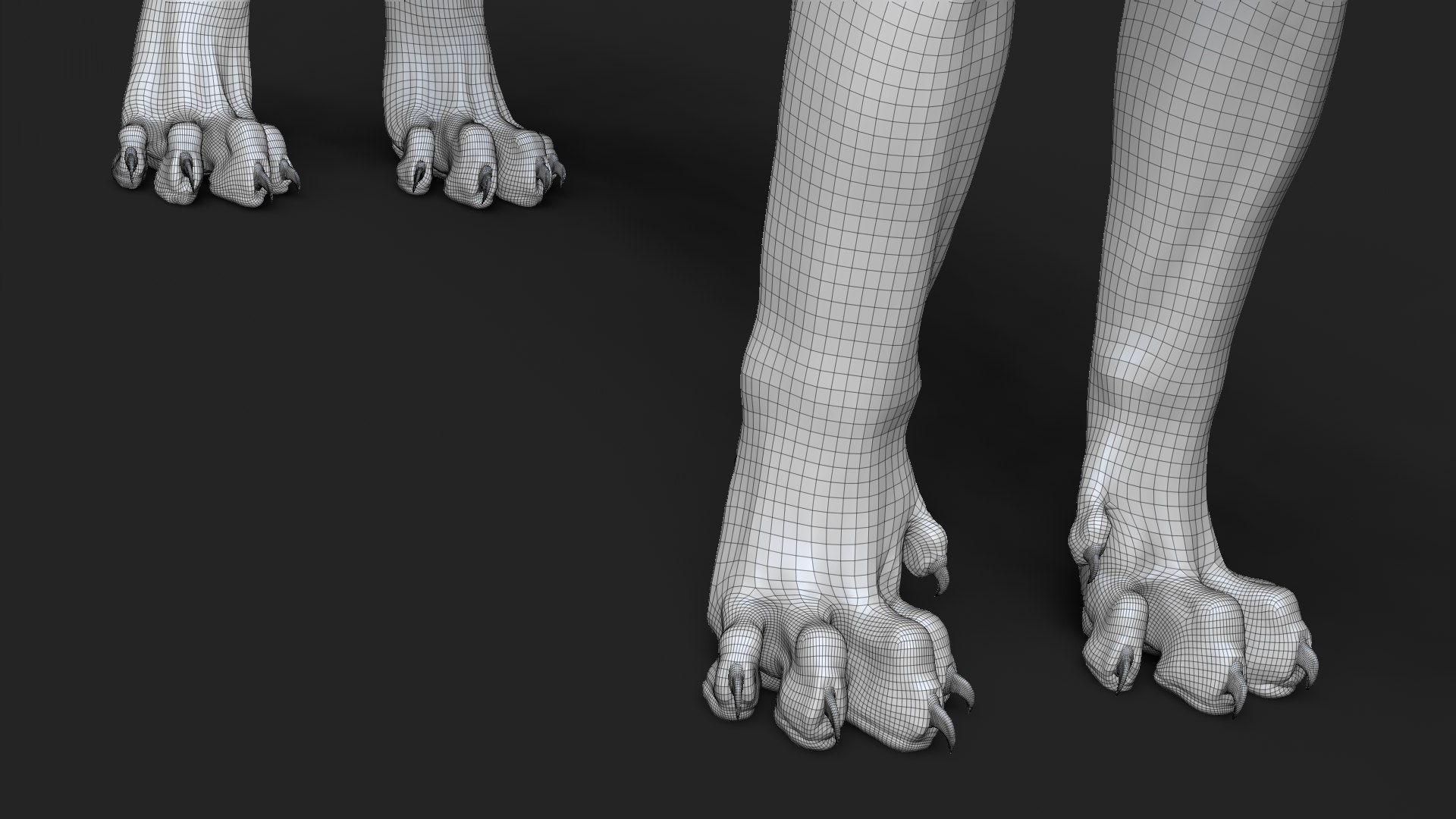 3D Canadian Lynx Primary Forms Zbrush Sculpt - TurboSquid 1817361