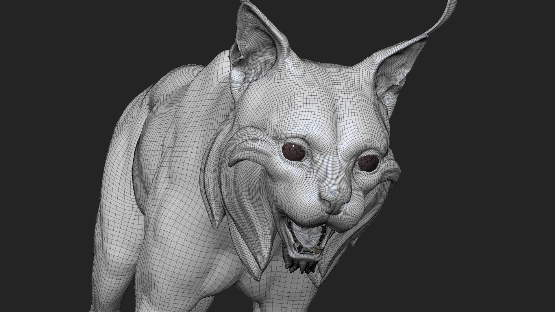 3D Canadian Lynx Primary Forms Zbrush Sculpt - TurboSquid 1817361