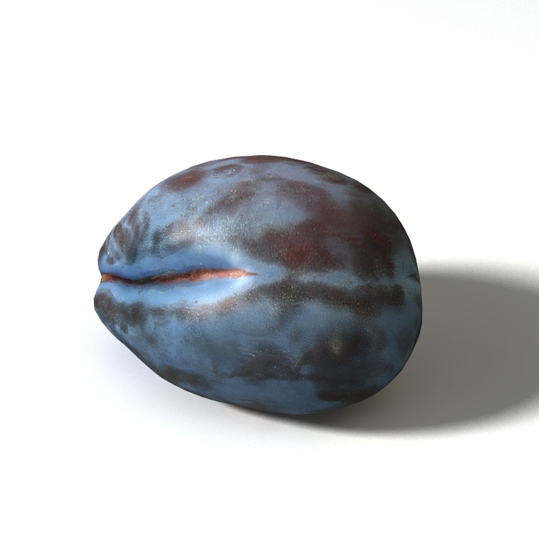 Plum 3D model - TurboSquid 1200758
