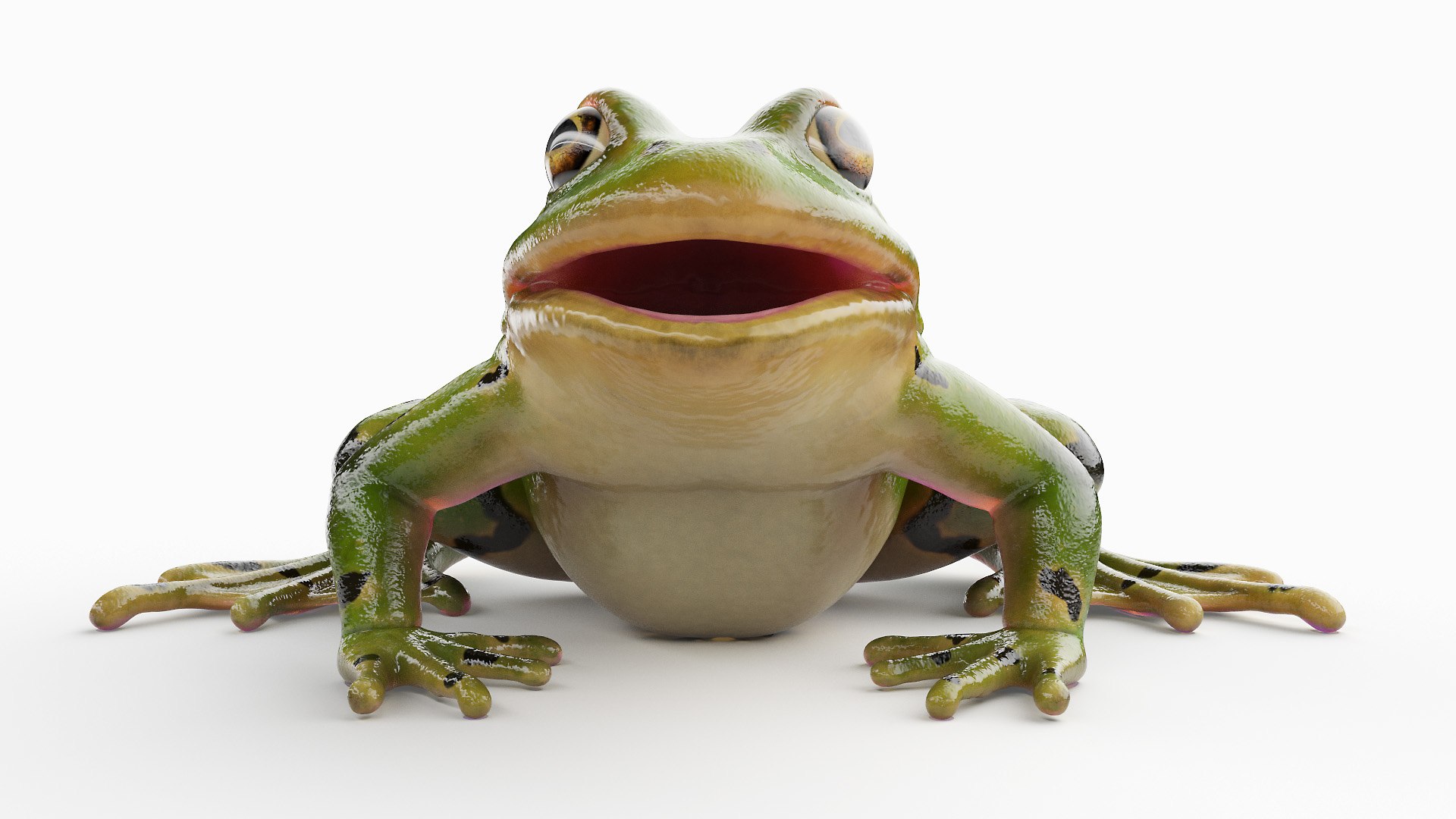 3D Frog Body Static - TurboSquid 1906082
