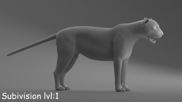 Panther rigged 3D - TurboSquid 1338580