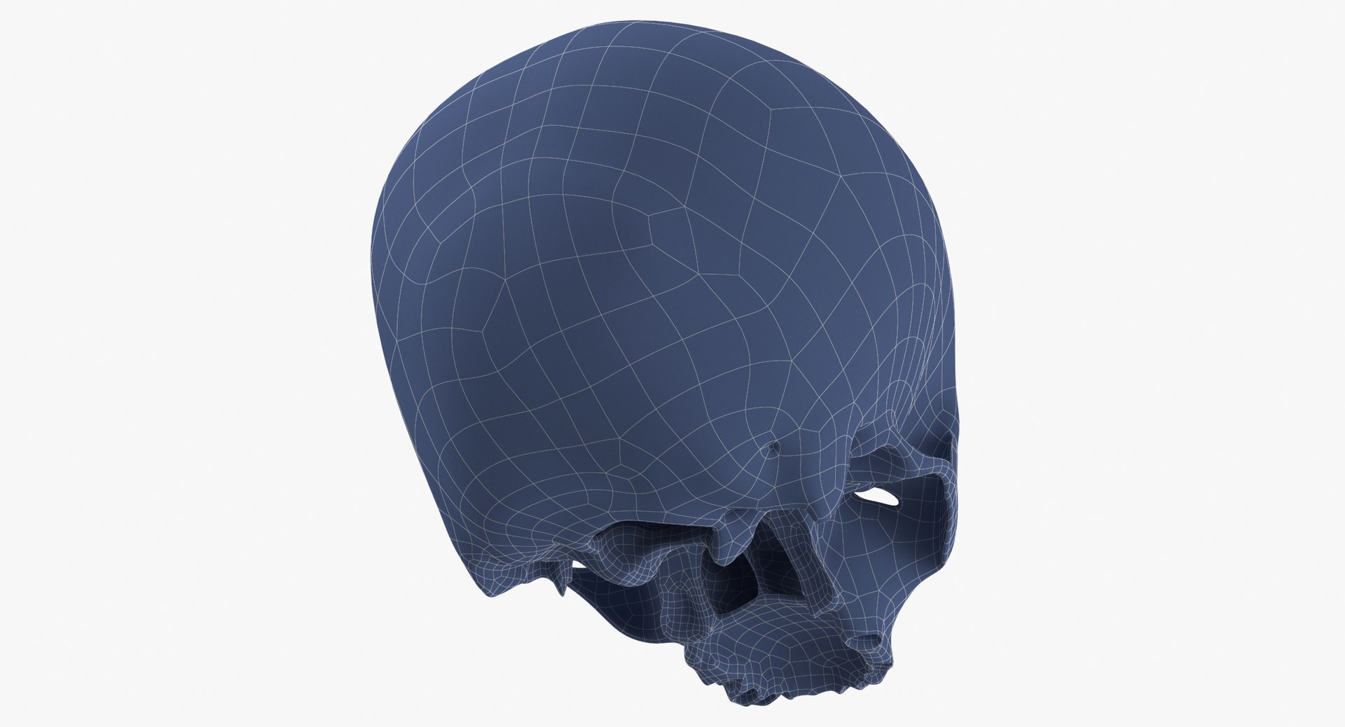 3D human skull cranial 01 model - TurboSquid 1454412