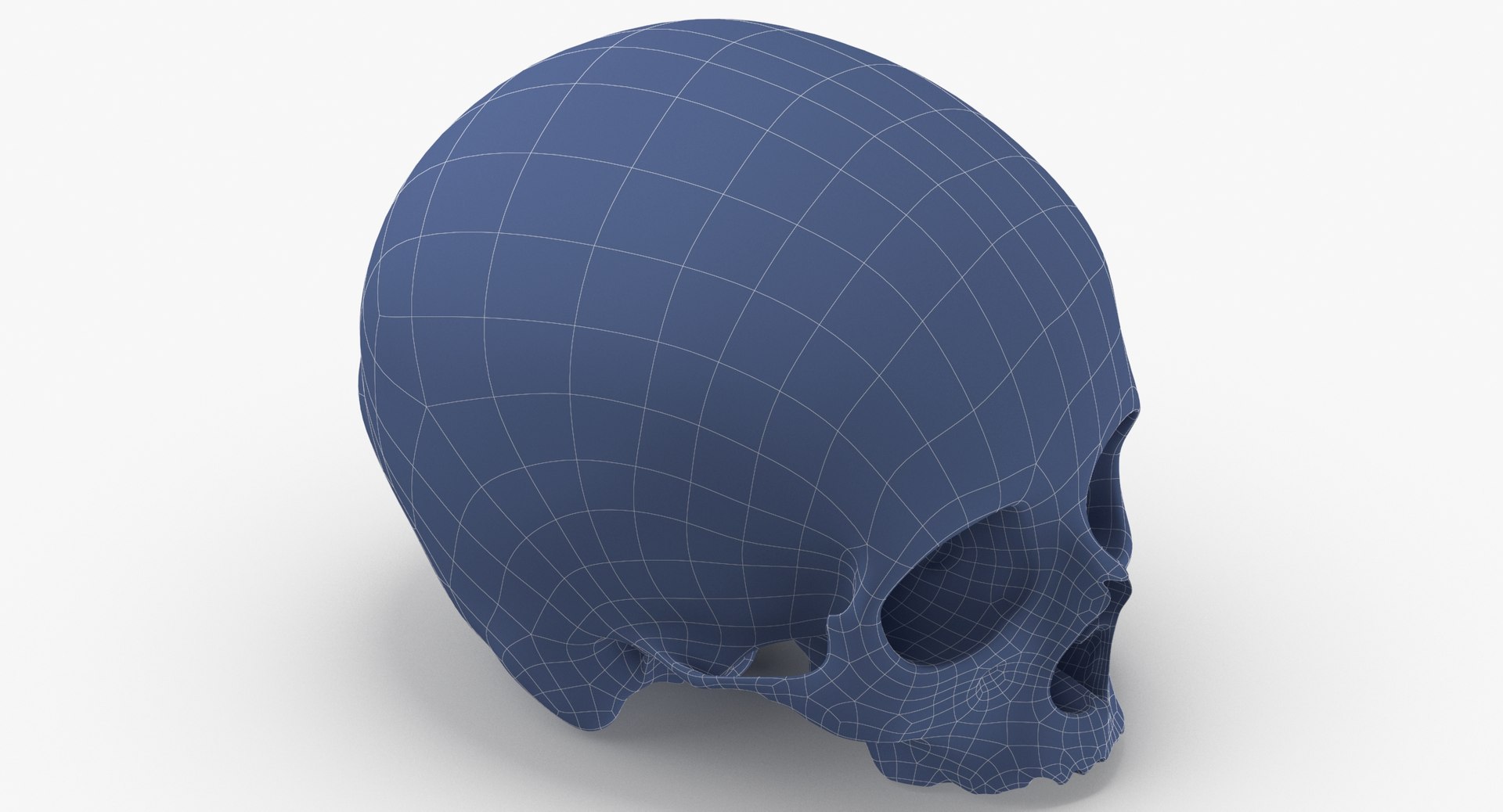 3D Human Skull Cranial 01 Model - TurboSquid 1454412