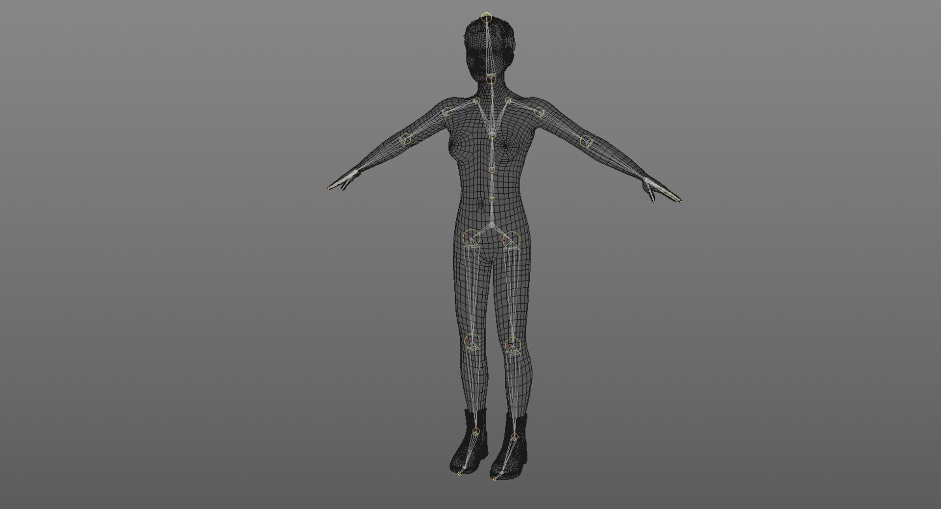 Female Rigged 3d Model