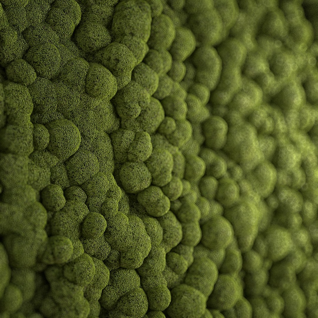 3d model photorealistic moss