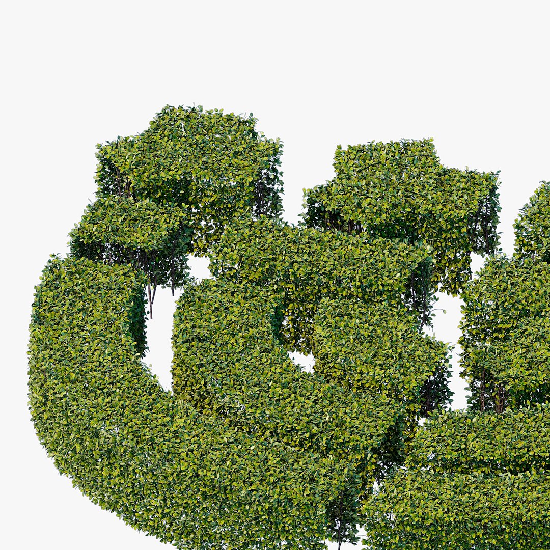 3D Hedge H - TurboSquid 1174387