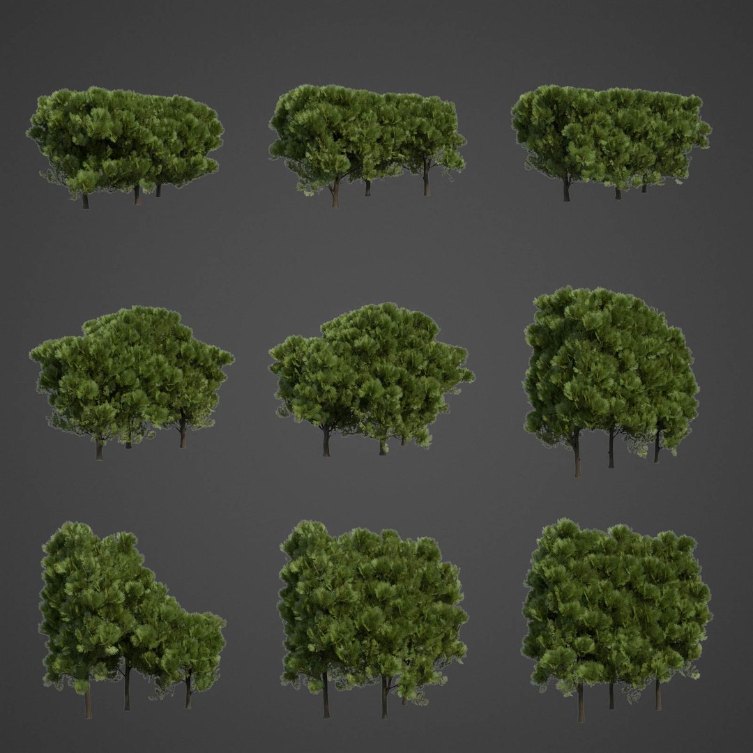 Tree Nature Conifer Model - TurboSquid 1677330