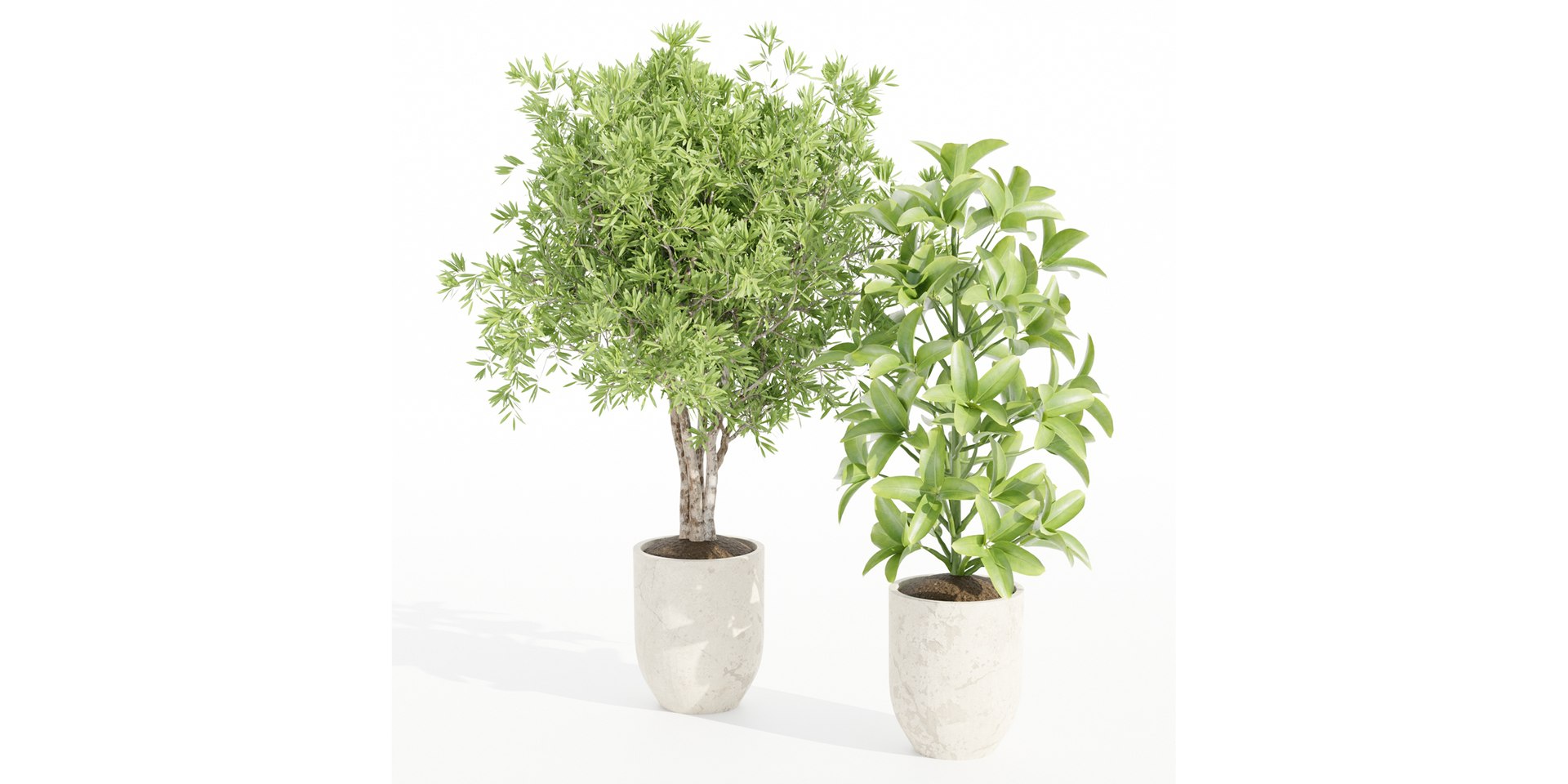 3D Plants Collection-Blender 3D Model - TurboSquid 2144548