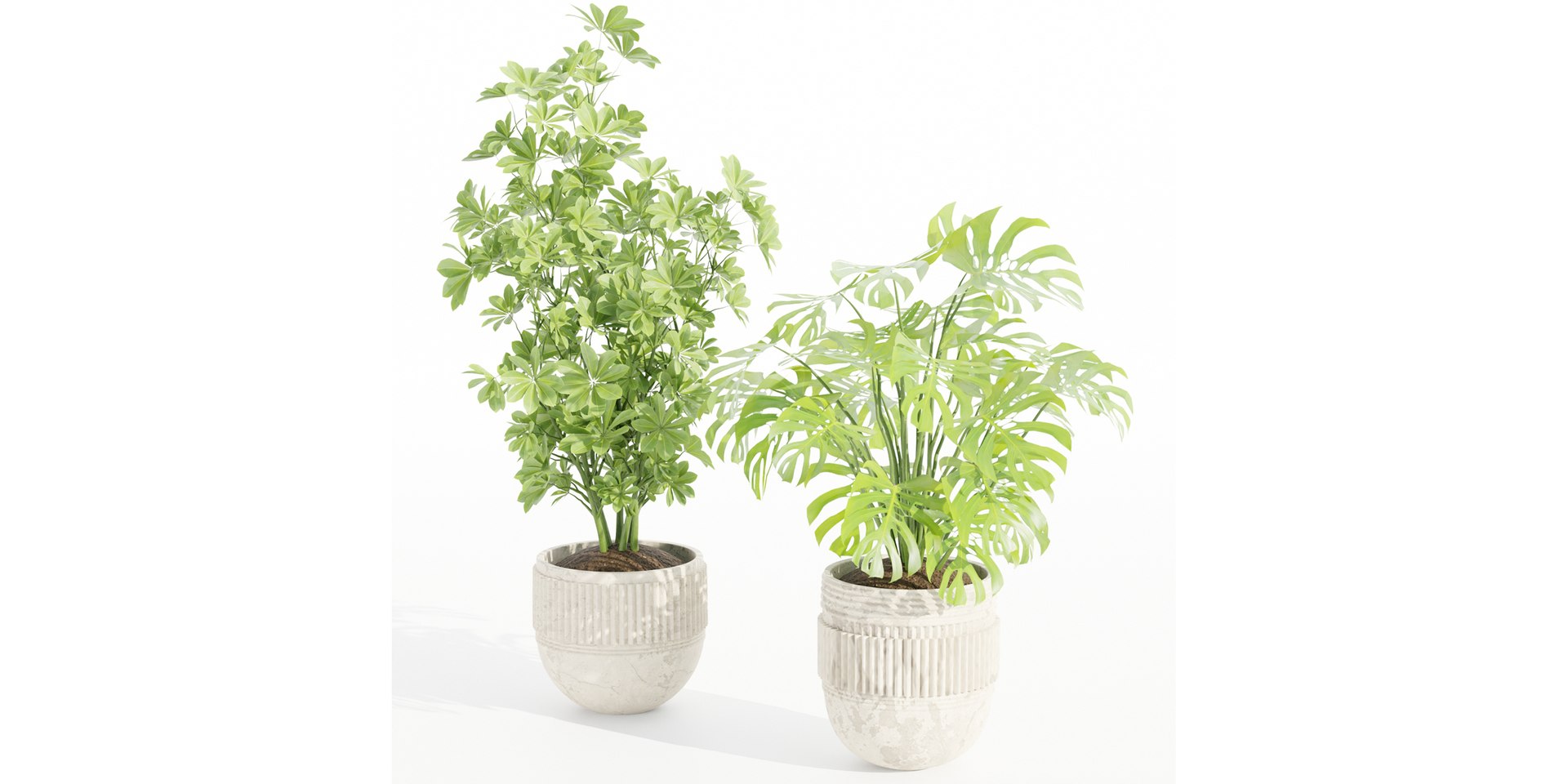 3D Plants Collection-Blender 3D Model - TurboSquid 2144548